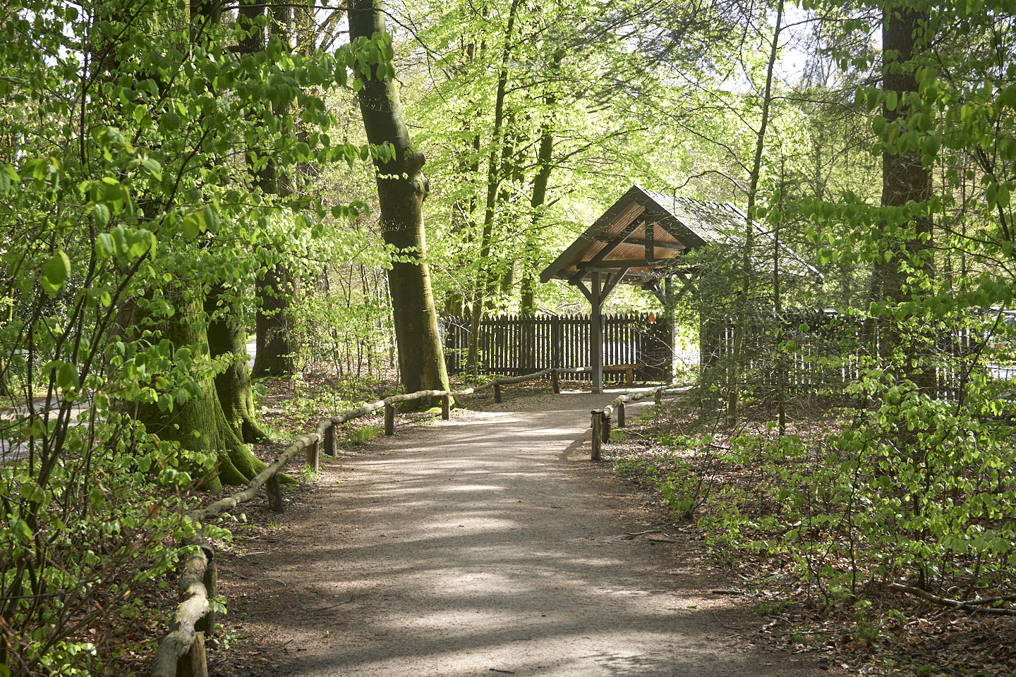 Rode wandelroute Paleispark Het Loo | 7 km